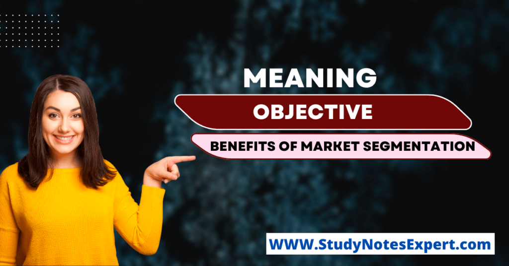 Top 5 Objectives | 7 Benefits of Market Segmentation